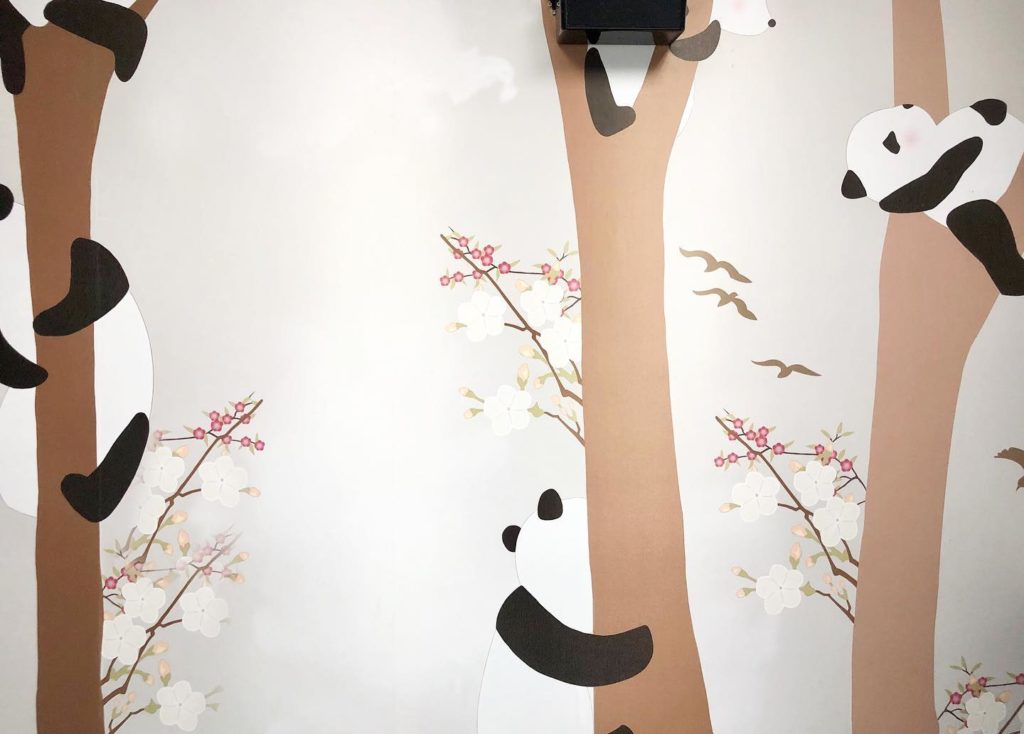 The Panda Room | Elite Linguistic Academy